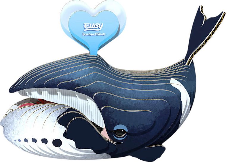 Картонен 3D модел Гренландски кит - Eugy - store.bg