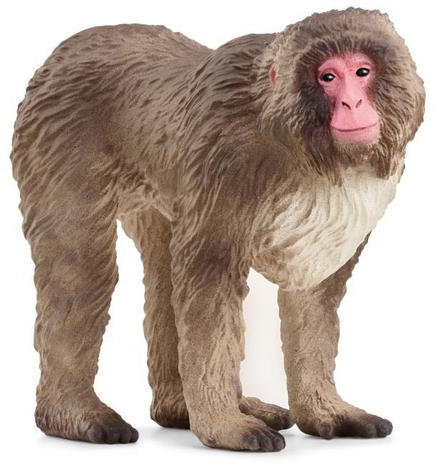 Фигурка на маймуна Японски макак Schleich - store.bg