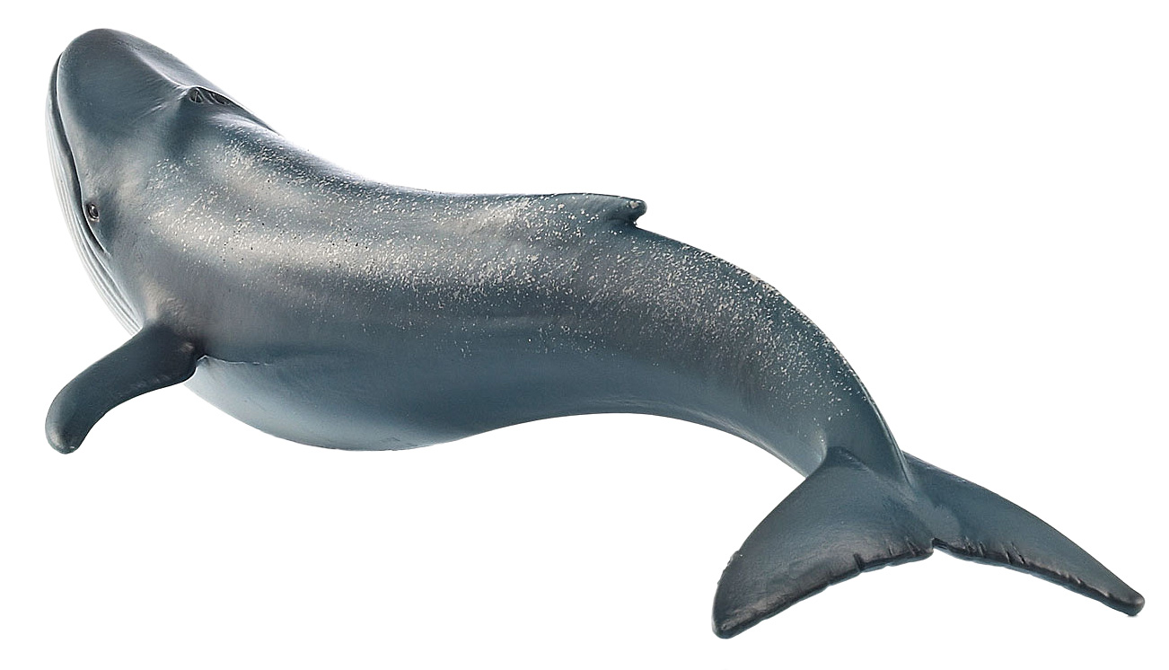 store.bg - Син кит - Фигура от серията "Животни от дивия свят"